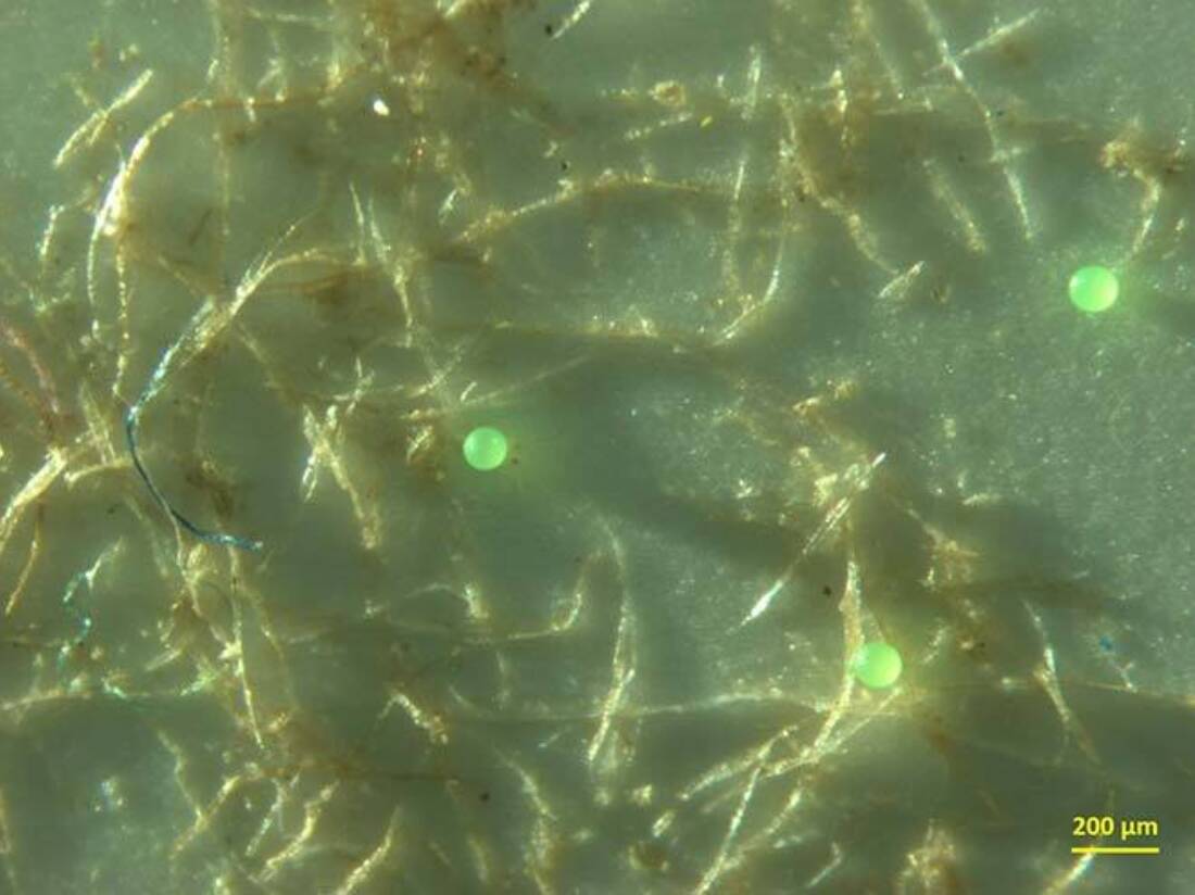 Functionalized Biodegradable Fibres for Improved Water Treatment - ÉTS ...